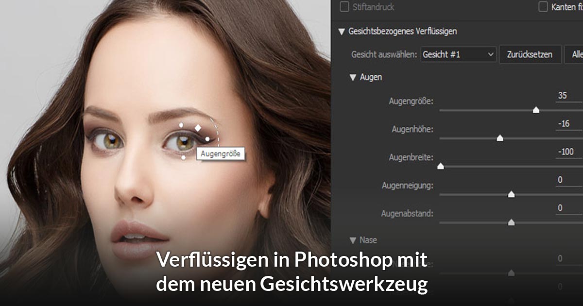 Verflüssigen in Photoshop: So wendet ihr das neue Gesichtswerkzeug an ...